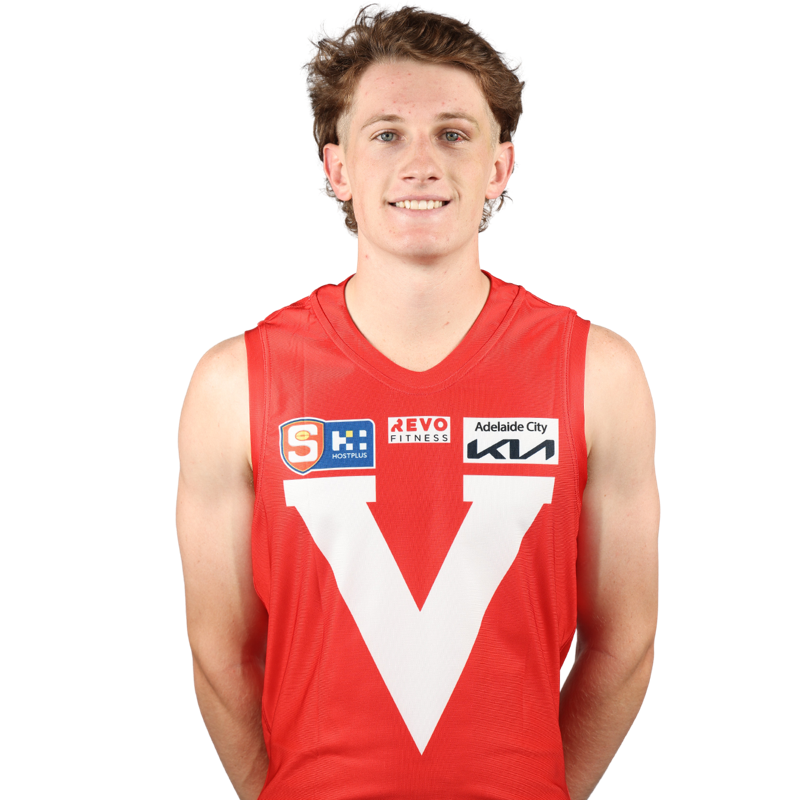 Jed Dignan - North Adelaide - SANFL